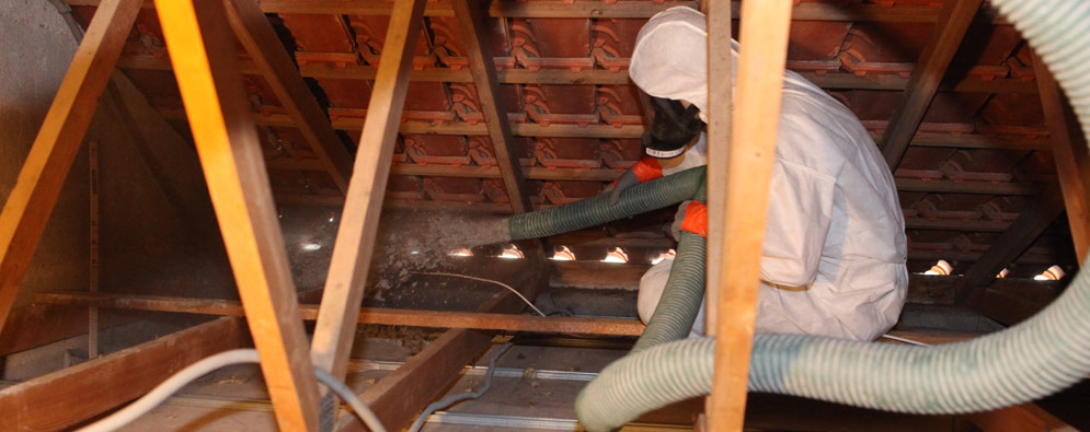 Isolation de vos combles : quels avantages pour votre maison